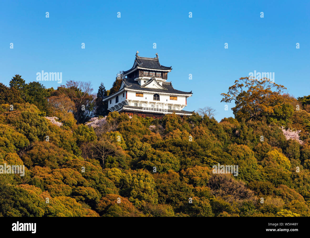 Iwakuni Castle, Iwakuni, Yamaguchi Prefecture, Honshu, Japan, Asia ...