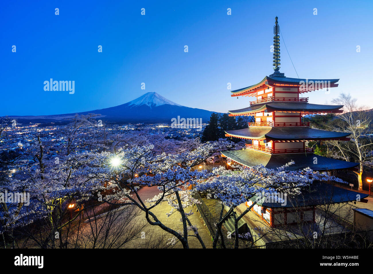Cherry blossom at Chureito Pagoda in Arakurayama Sengen Park, and Mount ...