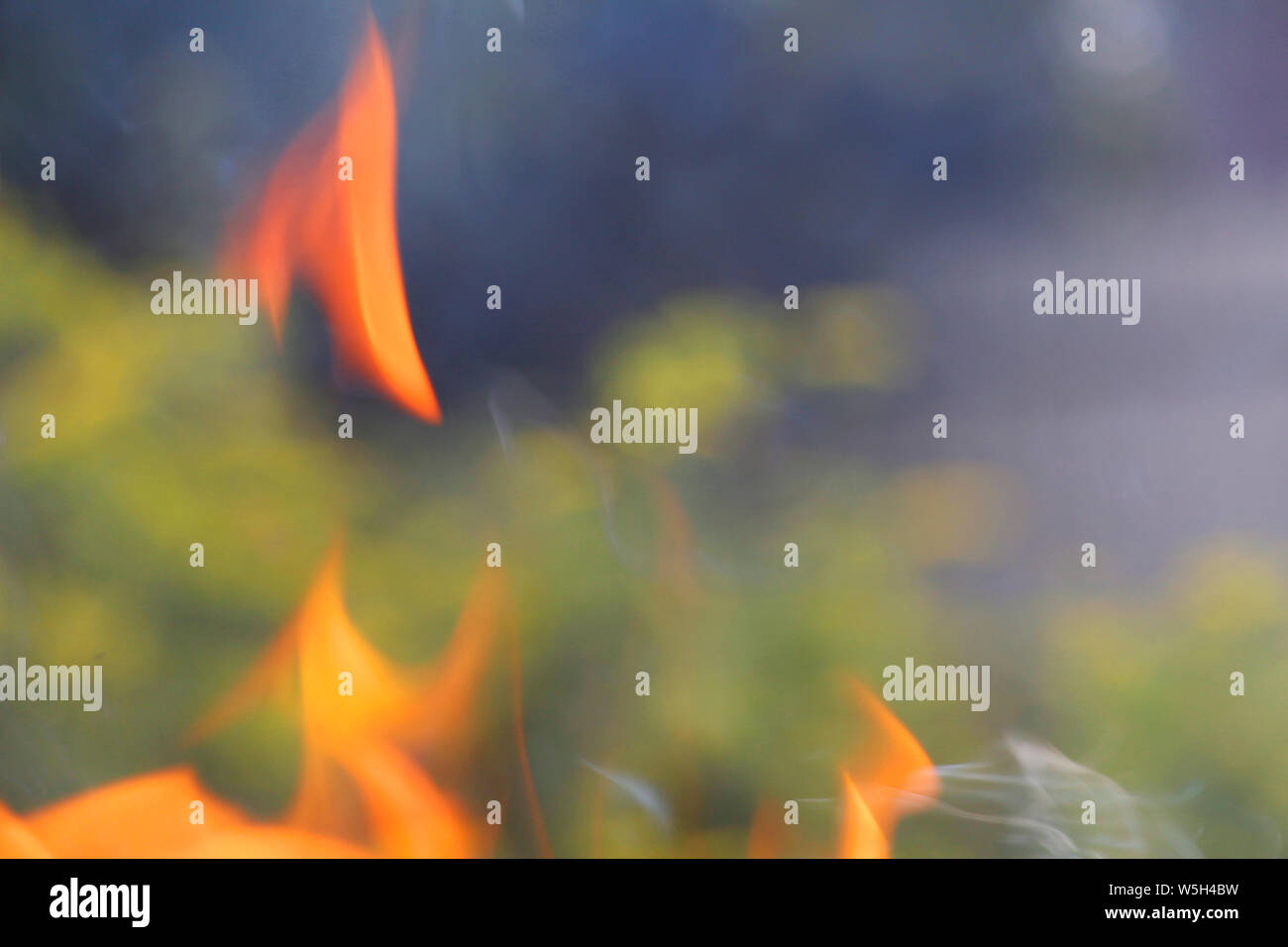 Texture. Bonfire. Orange flame of a fire. Burning birch tree in the ...