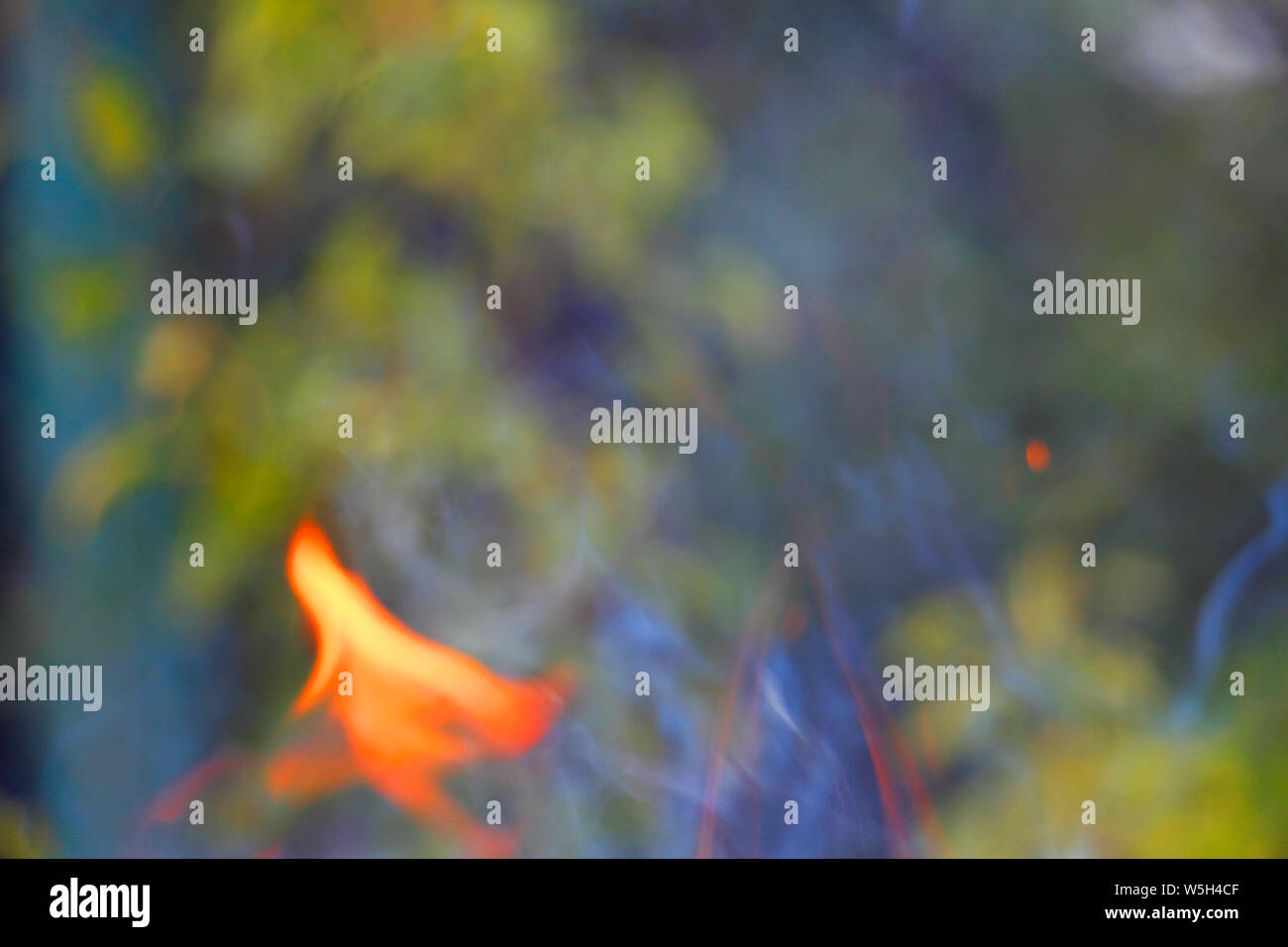 Texture. Bonfire. Orange flame of a fire. Burning birch tree in the ...