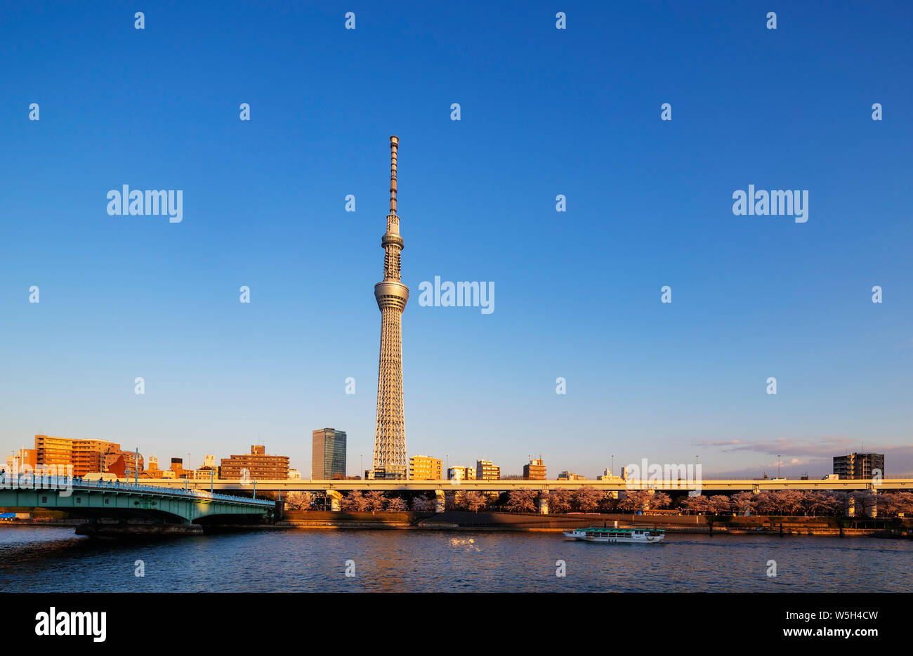 Tokyo sky tree tower hi-res stock photography and images - Alamy