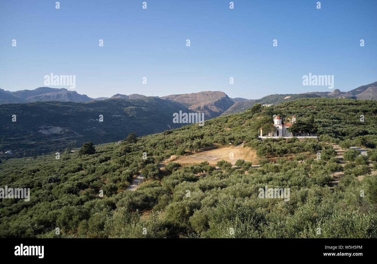 Birds eye view greek olive hi-res stock photography and images - Alamy