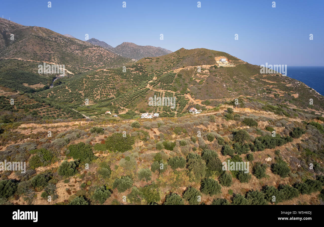 Olive grove near mount hi-res stock photography and images - Alamy
