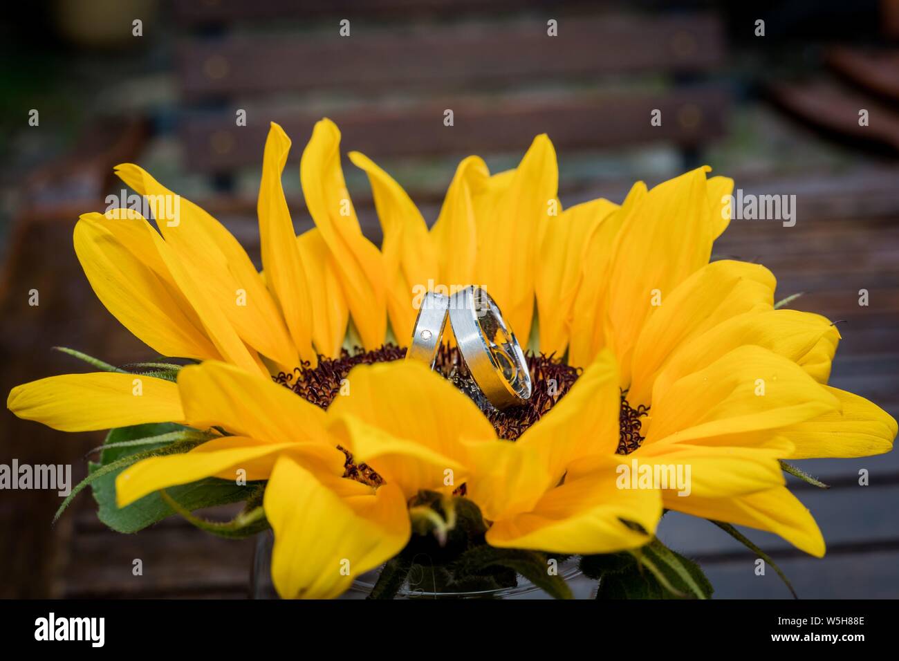 Symbolic photo on the subject of wedding and marriages. The wedding ...