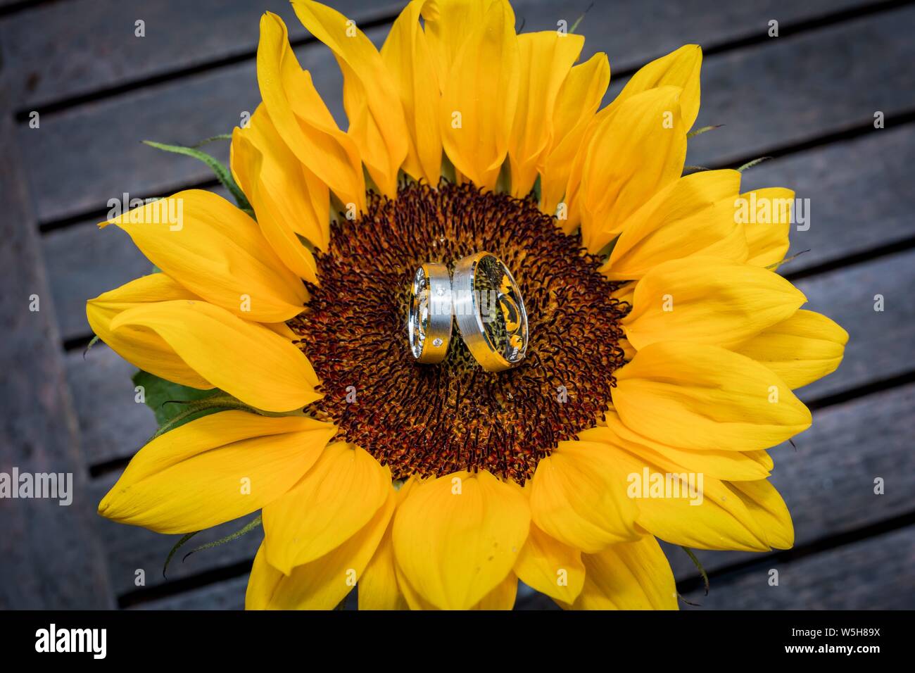 Symbolic photo on the subject of wedding and marriages. The wedding ...