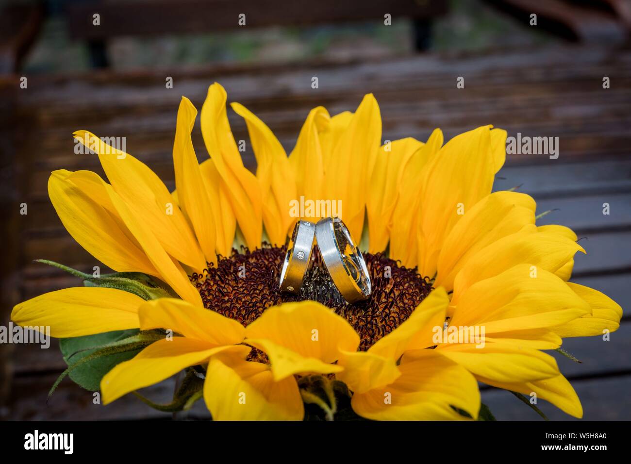 Symbolic photo on the subject of wedding and marriages. The wedding ...