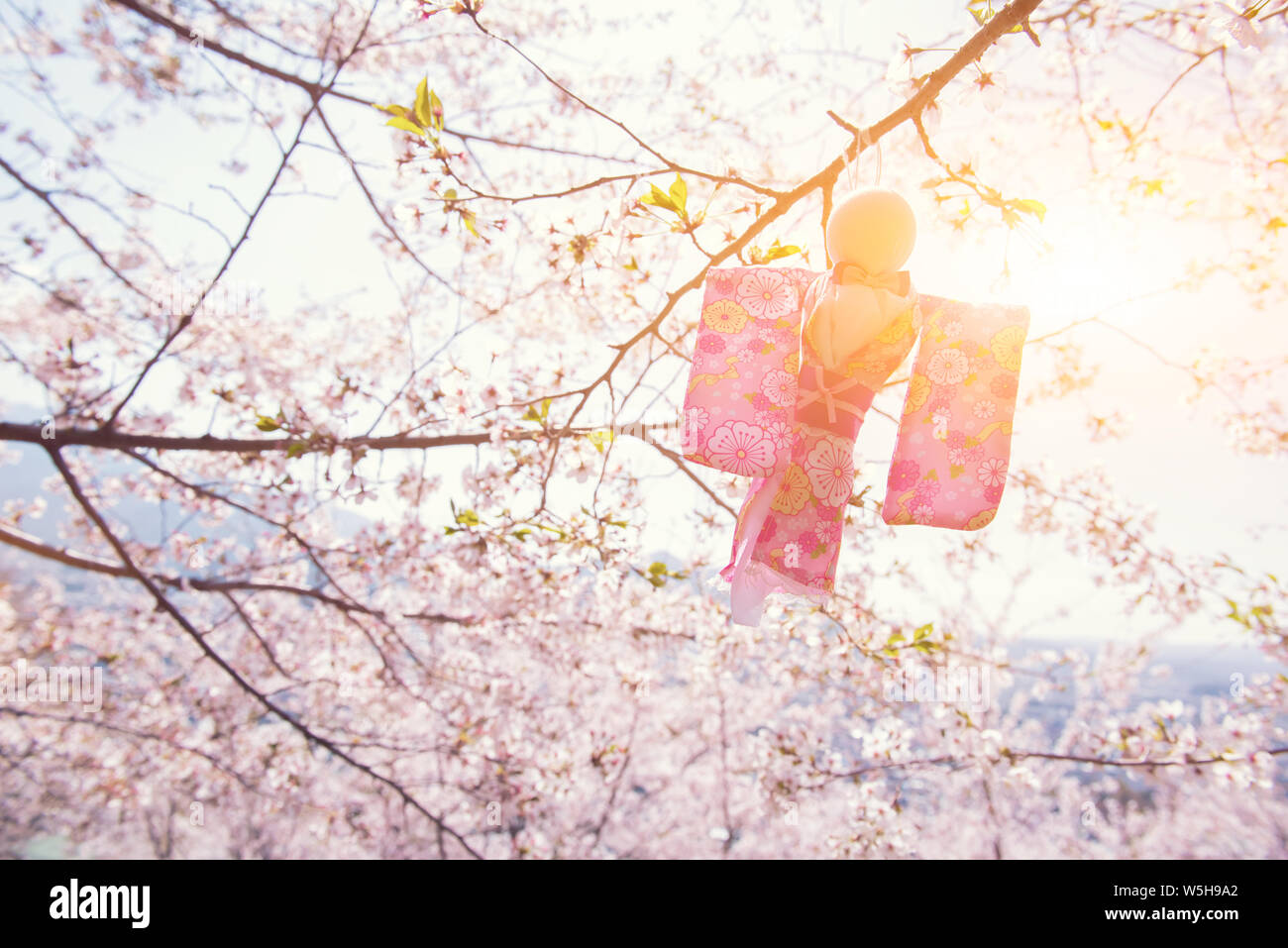 Teru Teru Bozu. Japanese Rain Doll hanging on Sakura tree to pray for ...