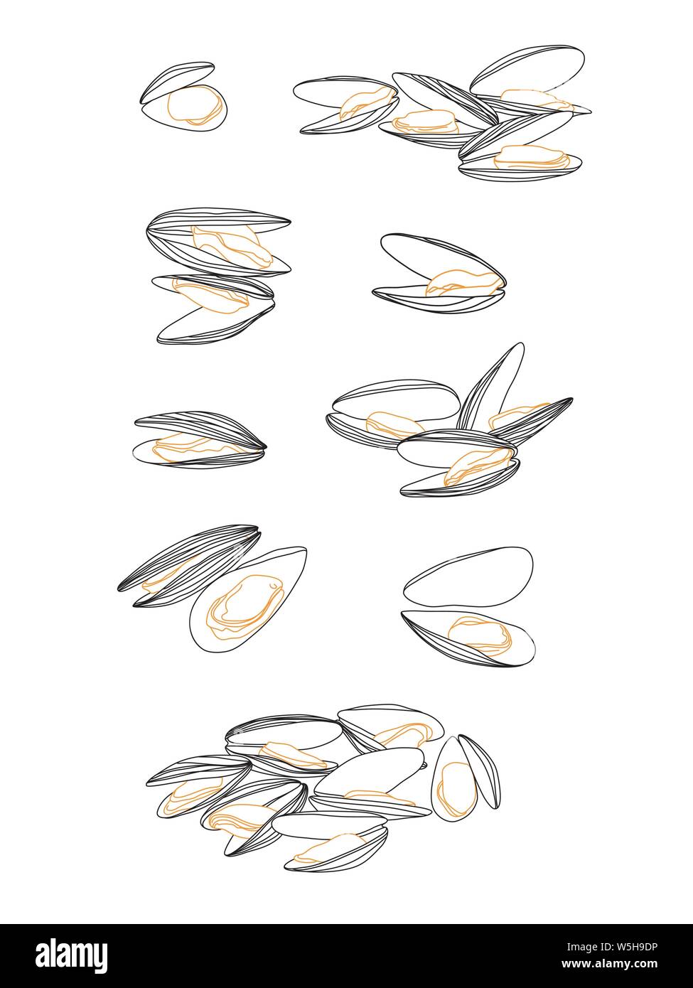 Simple and Detailed Mussels Sketch Set on White. Isolated Molluscs ...