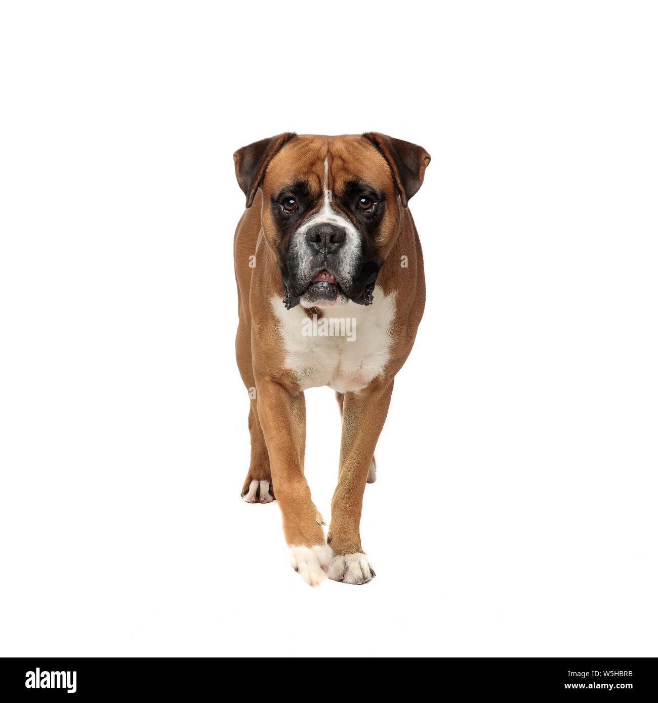 Legs stepping Cut Out Stock Images & Pictures - Alamy