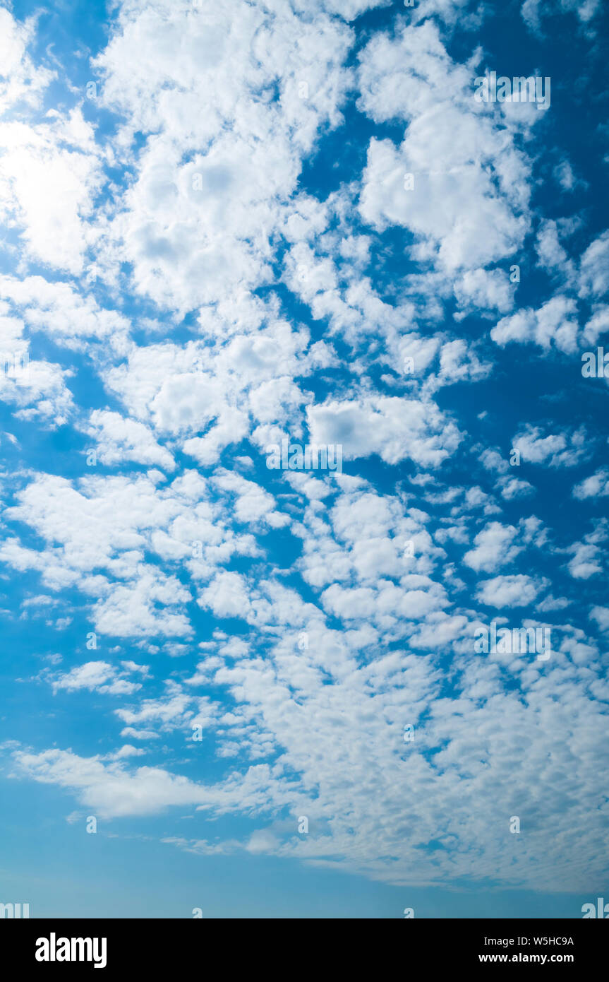Blue dramatic sky background - white dramatic colorful clouds lit by ...