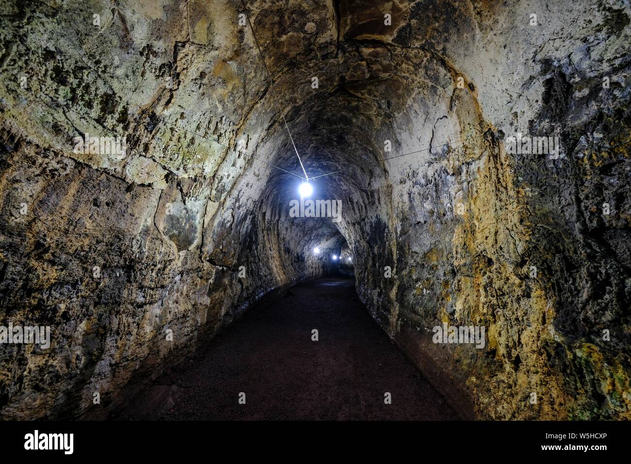 Hanging from caves ceiling hi-res stock photography and images - Alamy