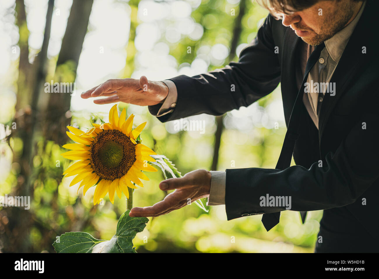Young man in business suit standing in forest holding his hands around ...