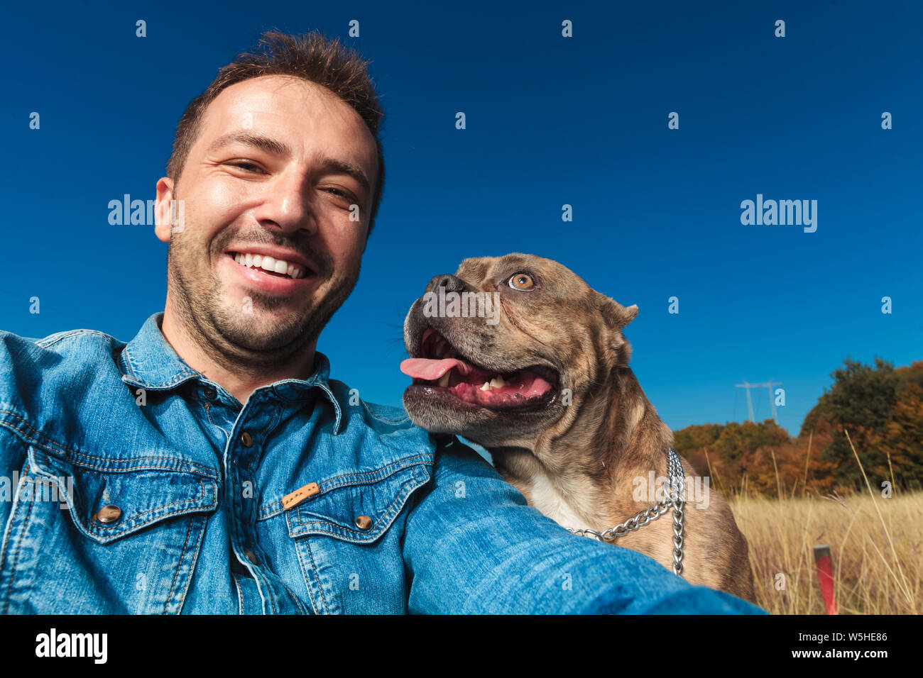 portrait of man and American bully smiling at the camera outdoor in a ...