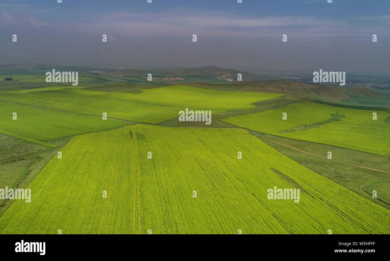 Systematic farming hi-res stock photography and images - Alamy