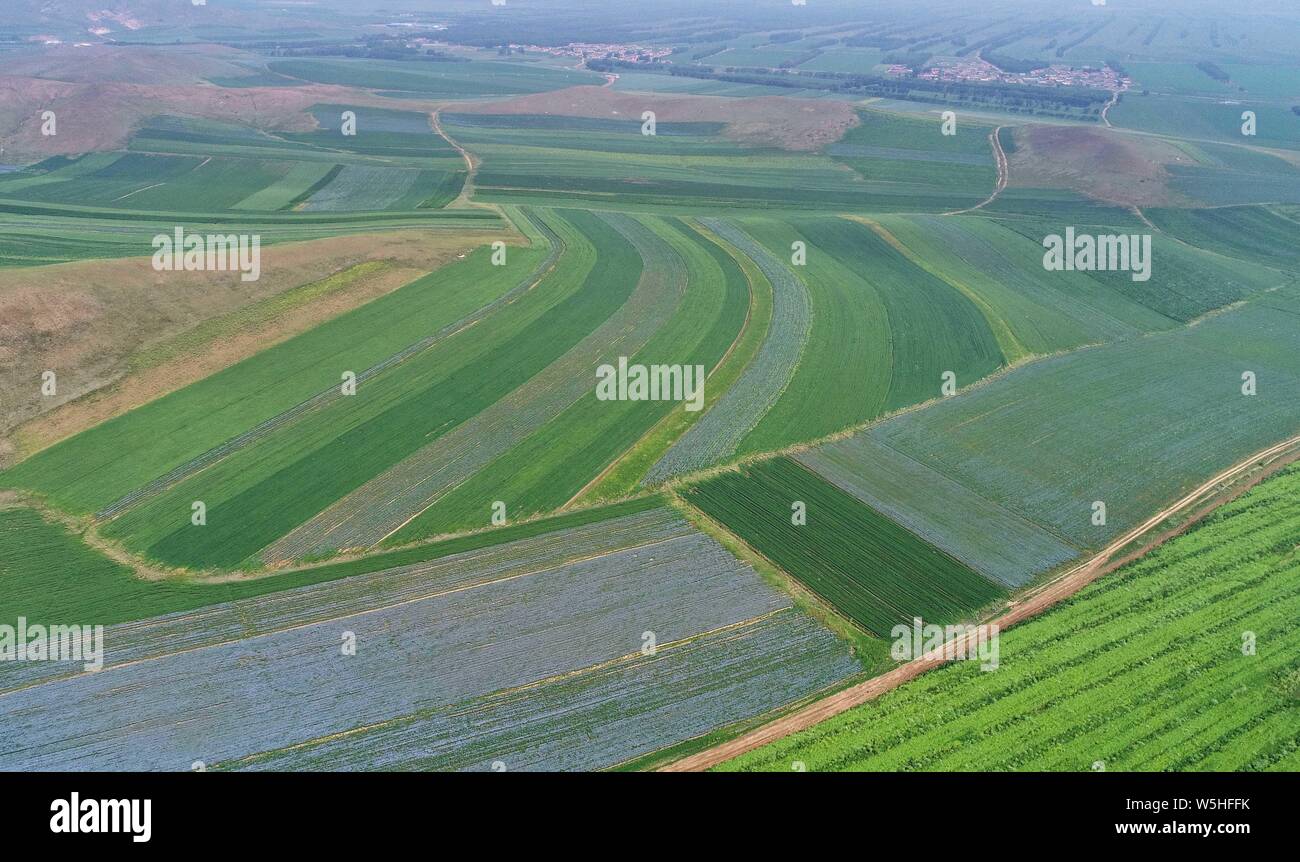 Systematic farming hi-res stock photography and images - Alamy
