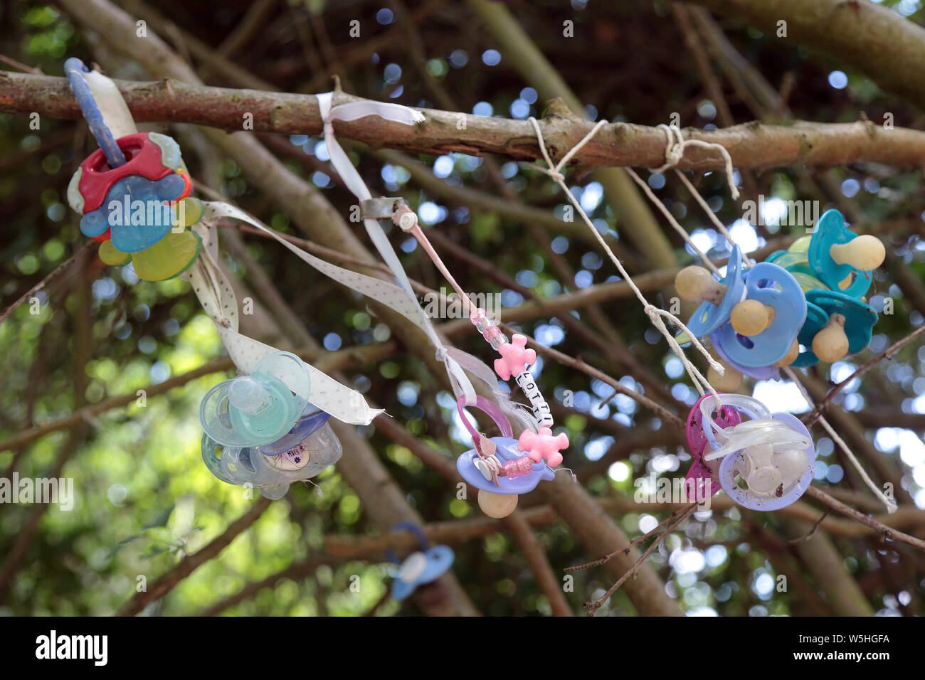 Leybourne Lakes Country Park Larkfield Kent Stock Photo - Alamy