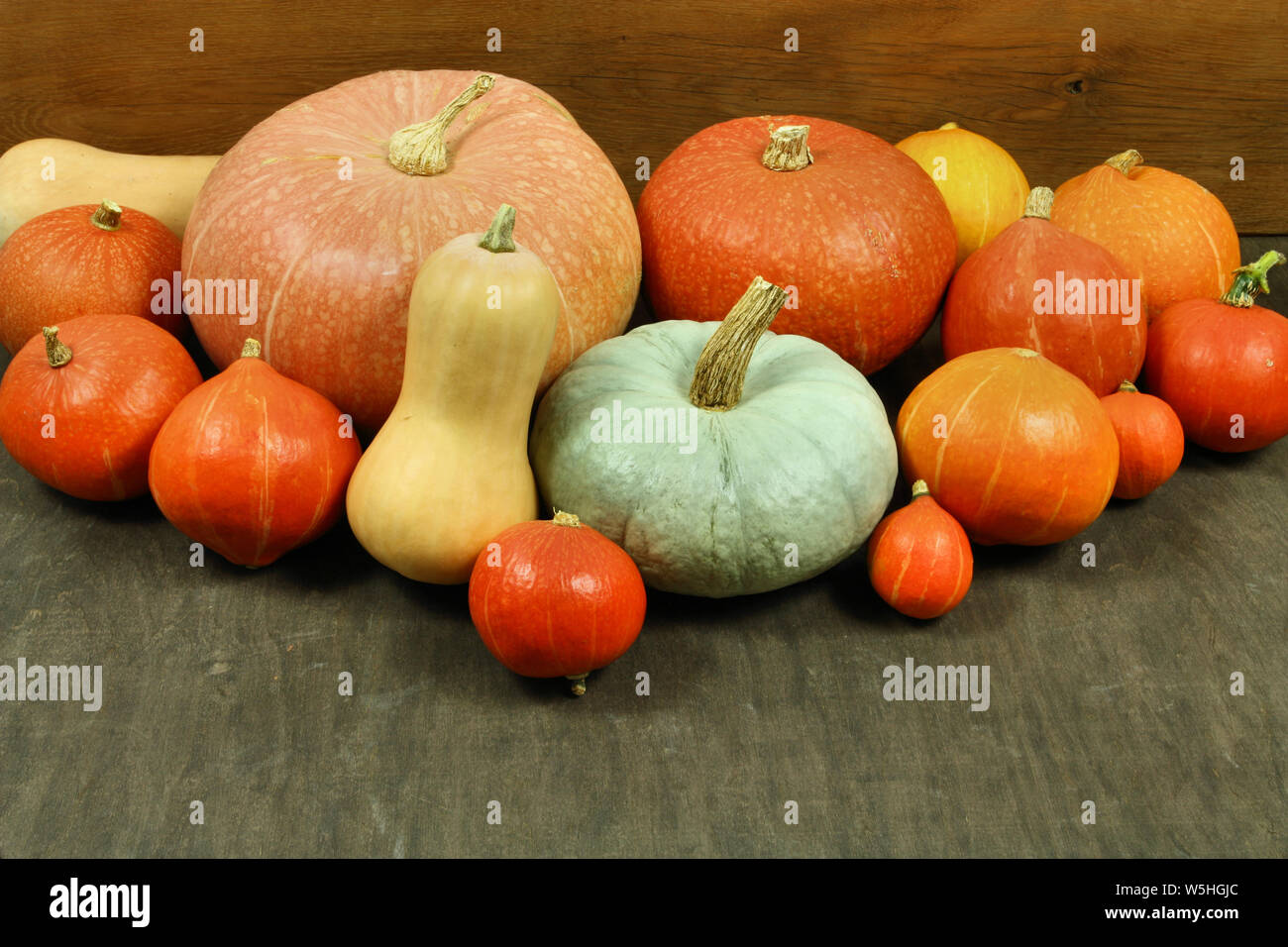 Still life various pumpkins hi-res stock photography and images - Alamy