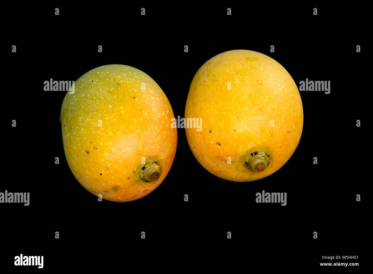 Delicious naturally ripened mangoes, green and yellowish sweet juicy ...