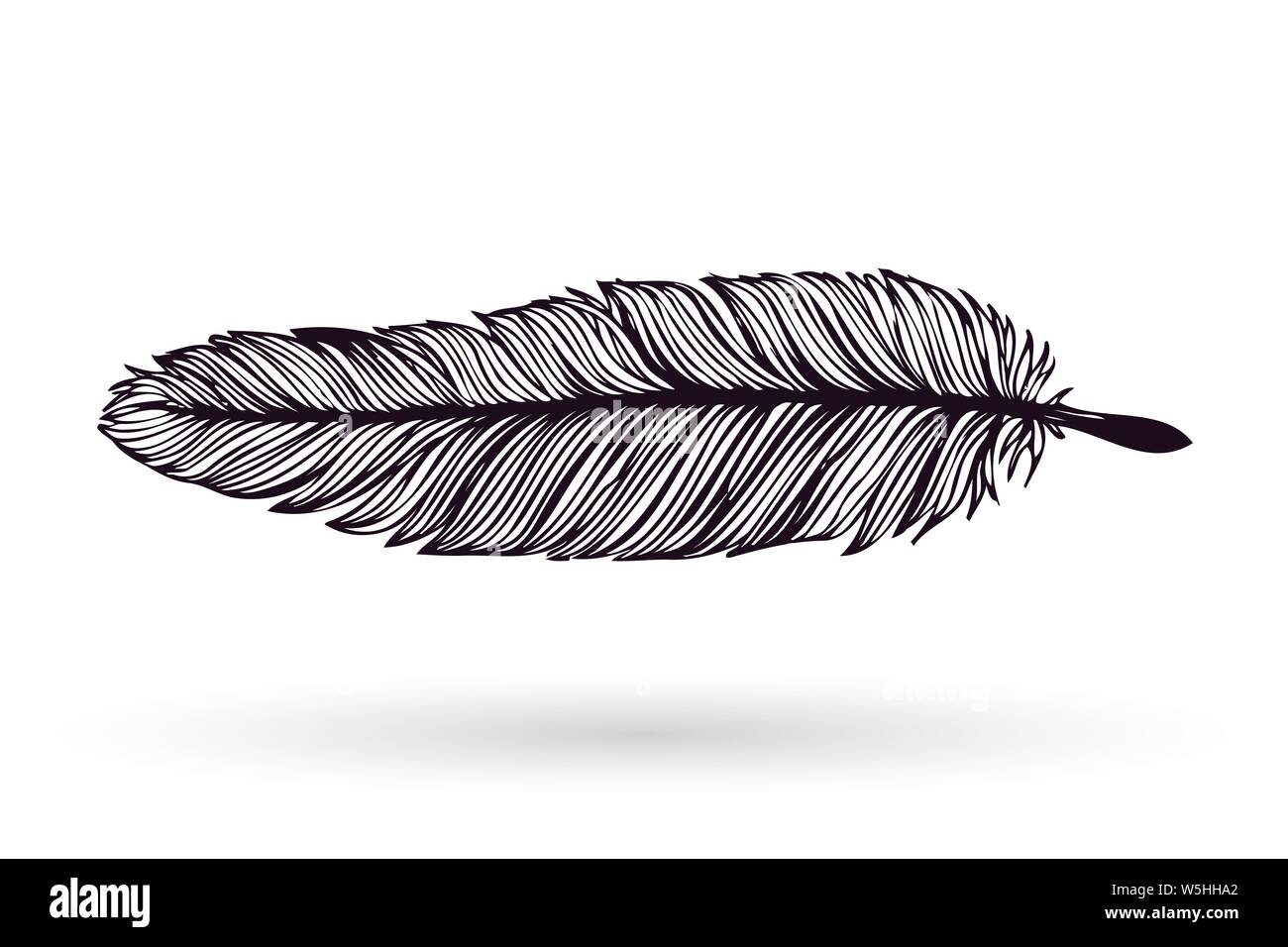 Hand drawn feather isolated on white background. Artistic ink vector ...