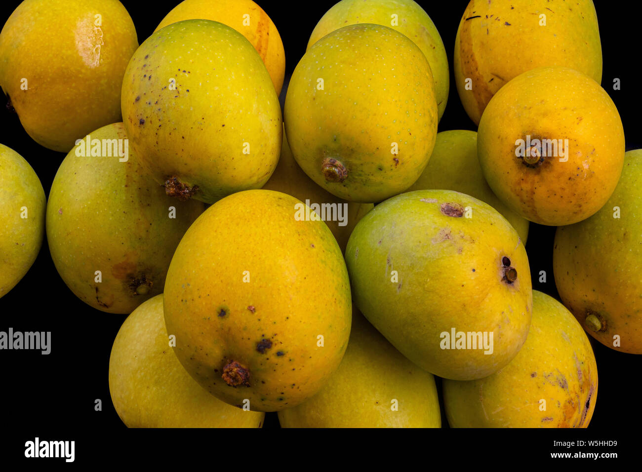 Delicious naturally ripened mangoes, green and yellowish sweet juicy ...