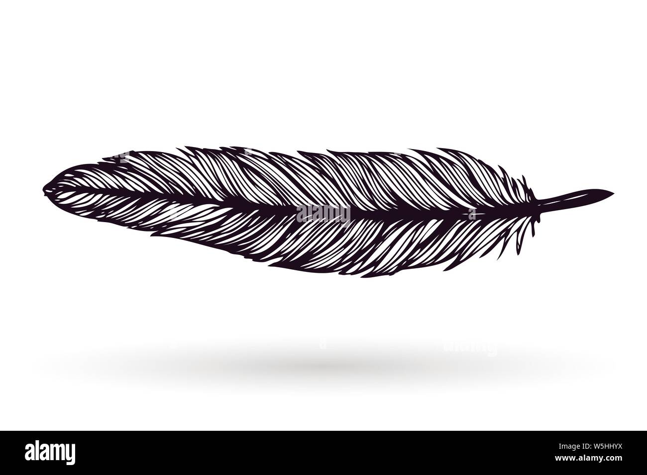 Hand drawn feather isolated on white background. Artistic ink vector ...