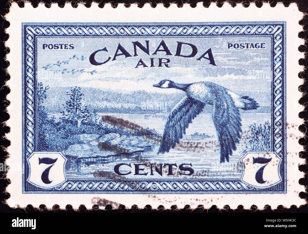 Flying Canada goose on old postage stamp Stock Photo - Alamy