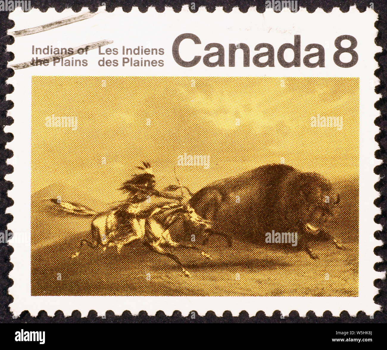 Indian buffalo hi-res stock photography and images - Alamy