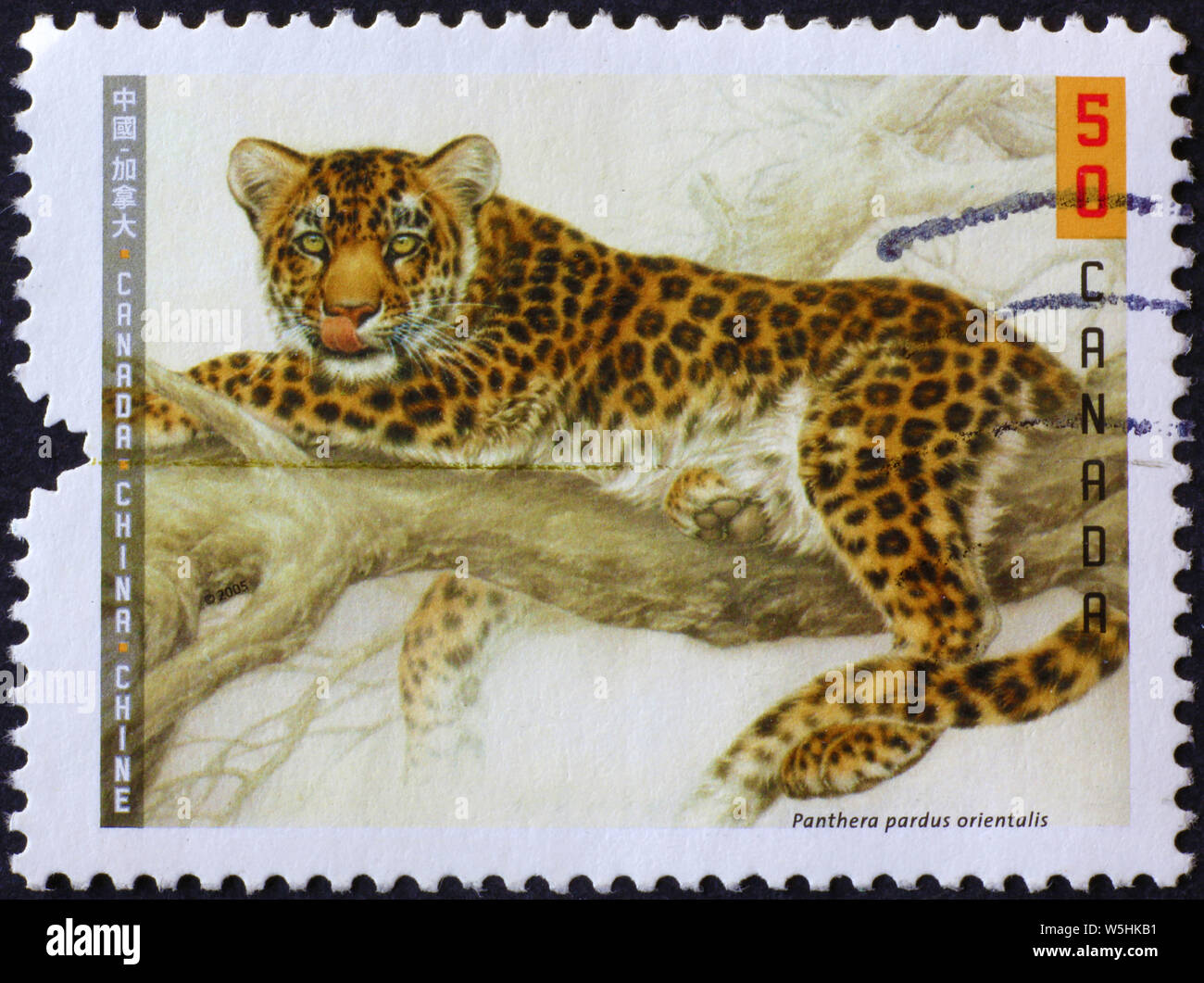 Leopard on canadian postage stamp Stock Photo - Alamy