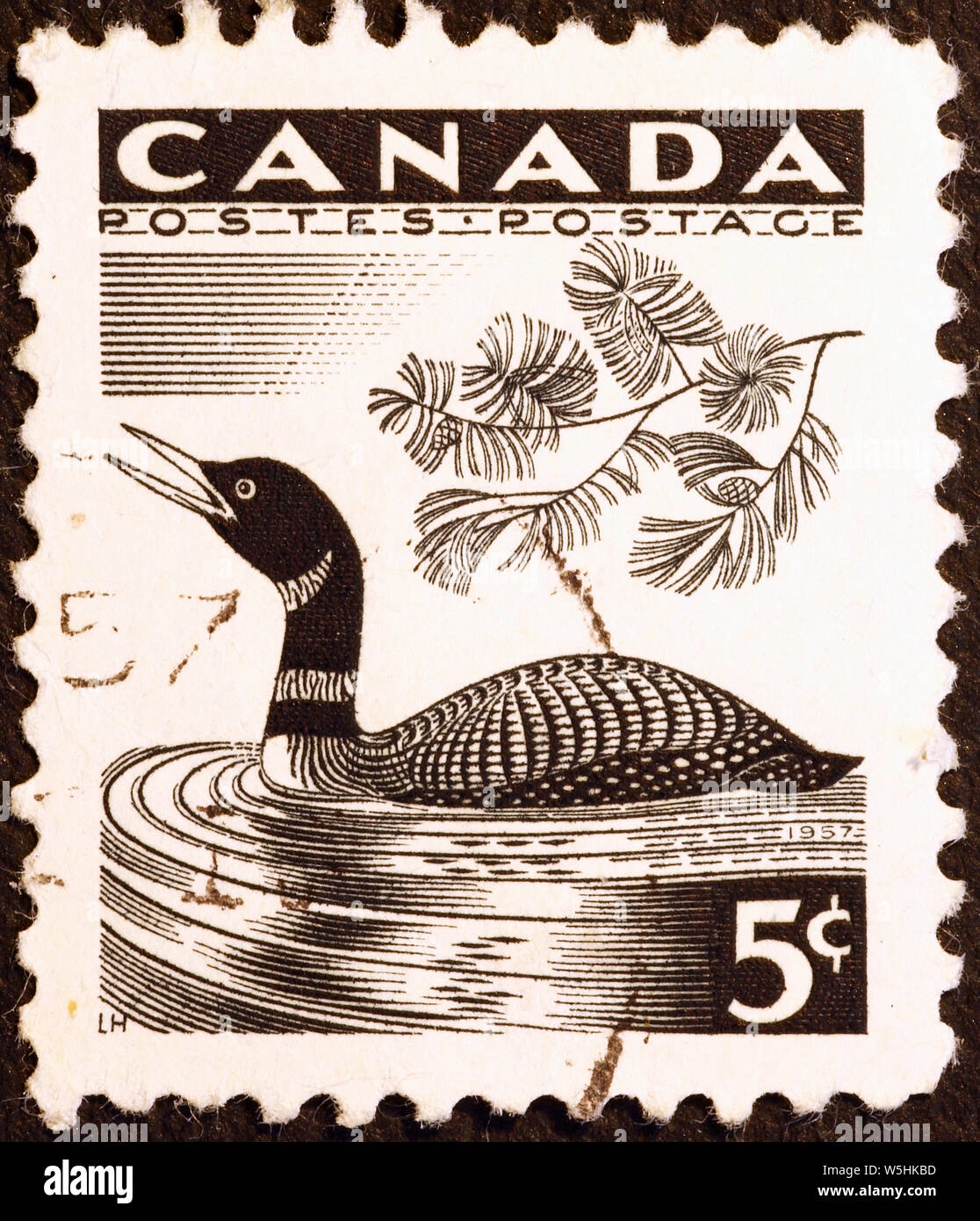 Loon on old canadian postage stamp Stock Photo - Alamy