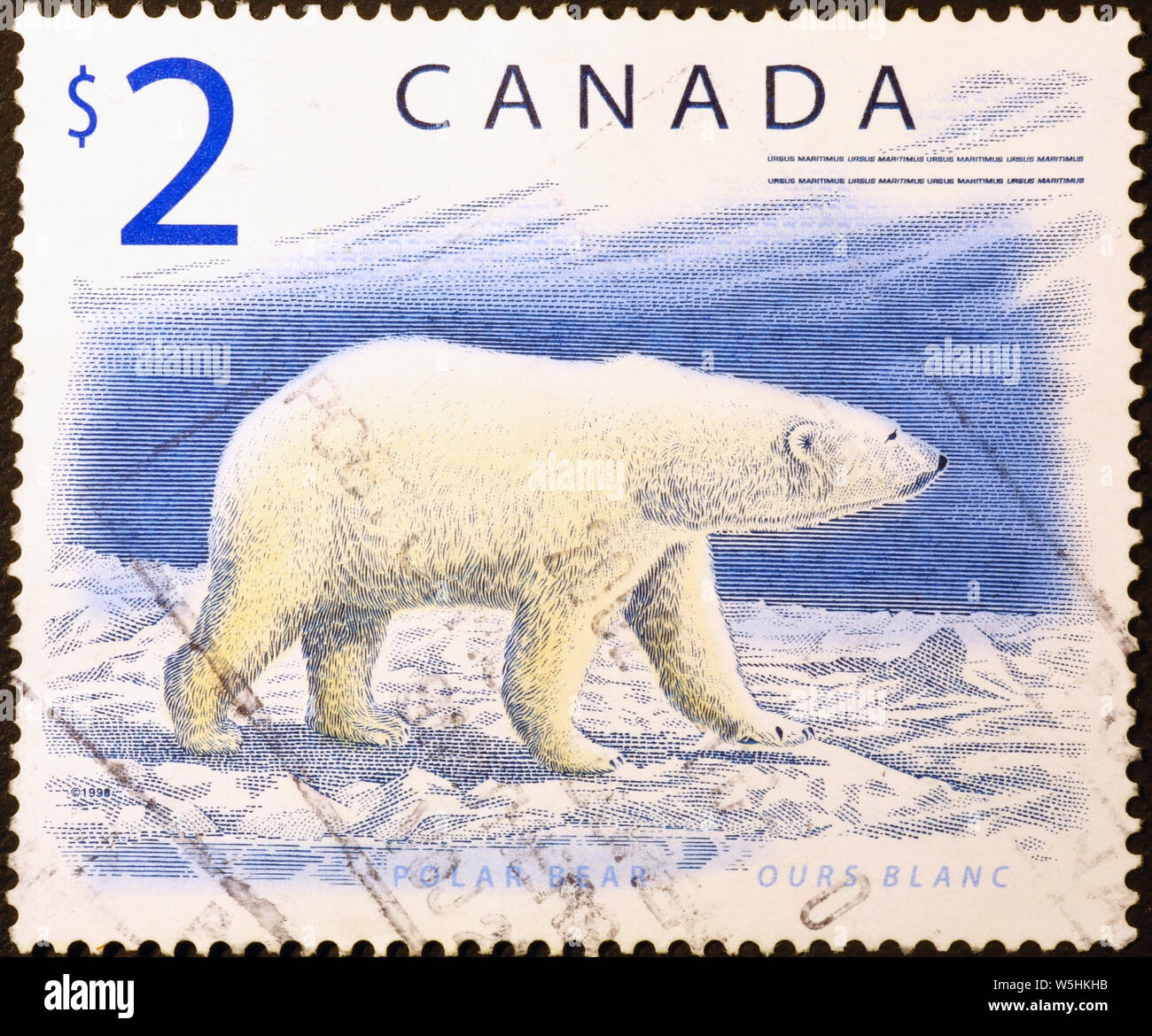 Polar bear on canadian postage stamp Stock Photo - Alamy
