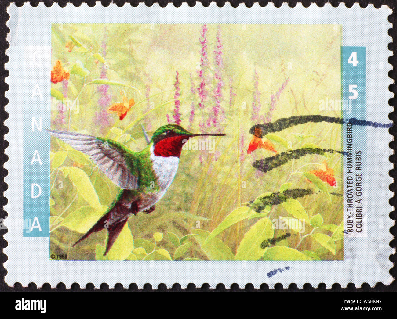 Ruby.throated hummingbird on canadian postage stamp Stock Photo - Alamy