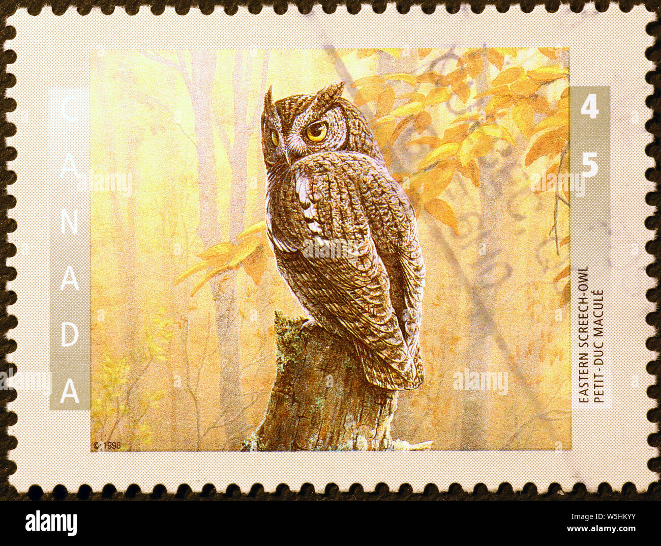 Screech-owl on canadian postage stamp Stock Photo - Alamy