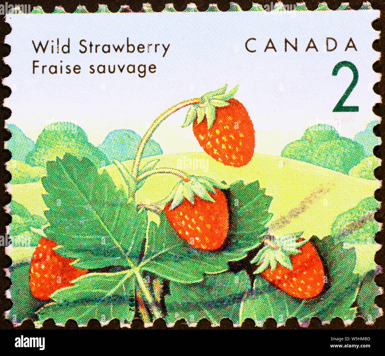 Wild strawberry plant on canadian postage stamp Stock Photo - Alamy