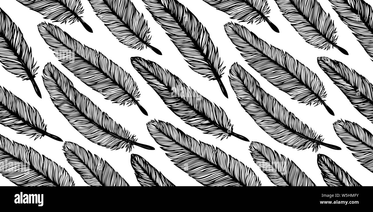 Feather Designs For Background