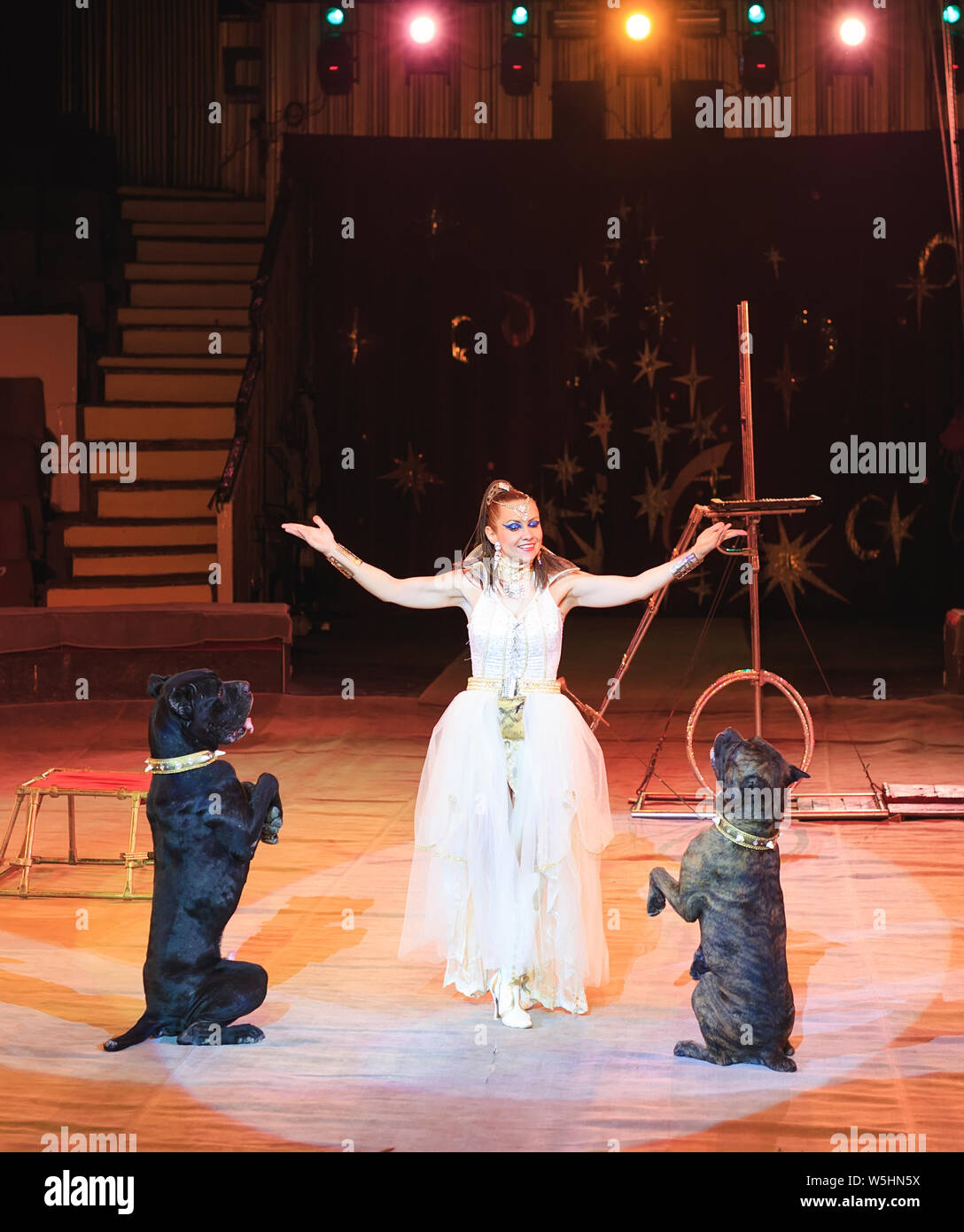 Woman with dog in circus hi-res stock photography and images - Alamy