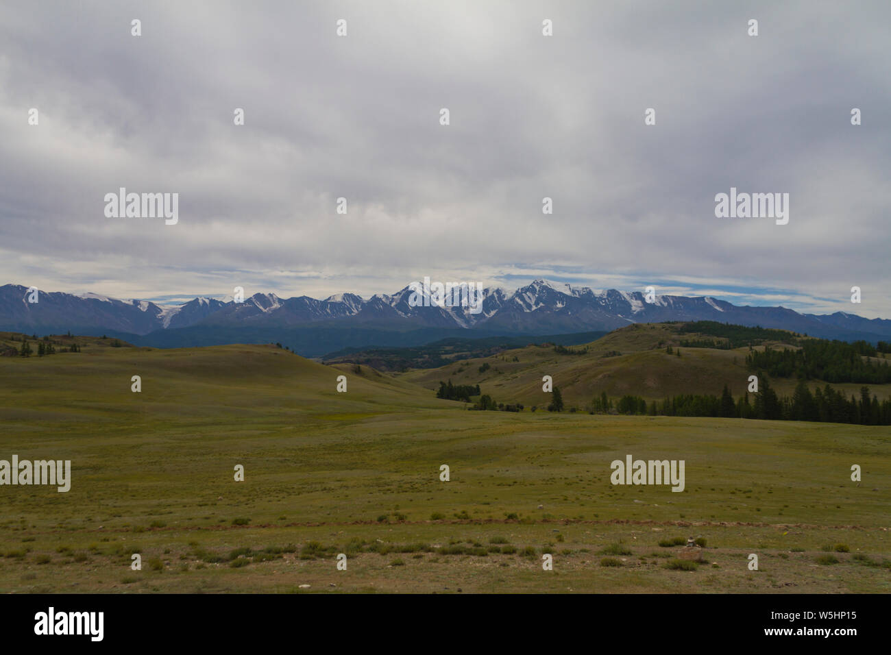 Snow tops in Altai mountains. Long shot. Panaramic view. Summer time ...