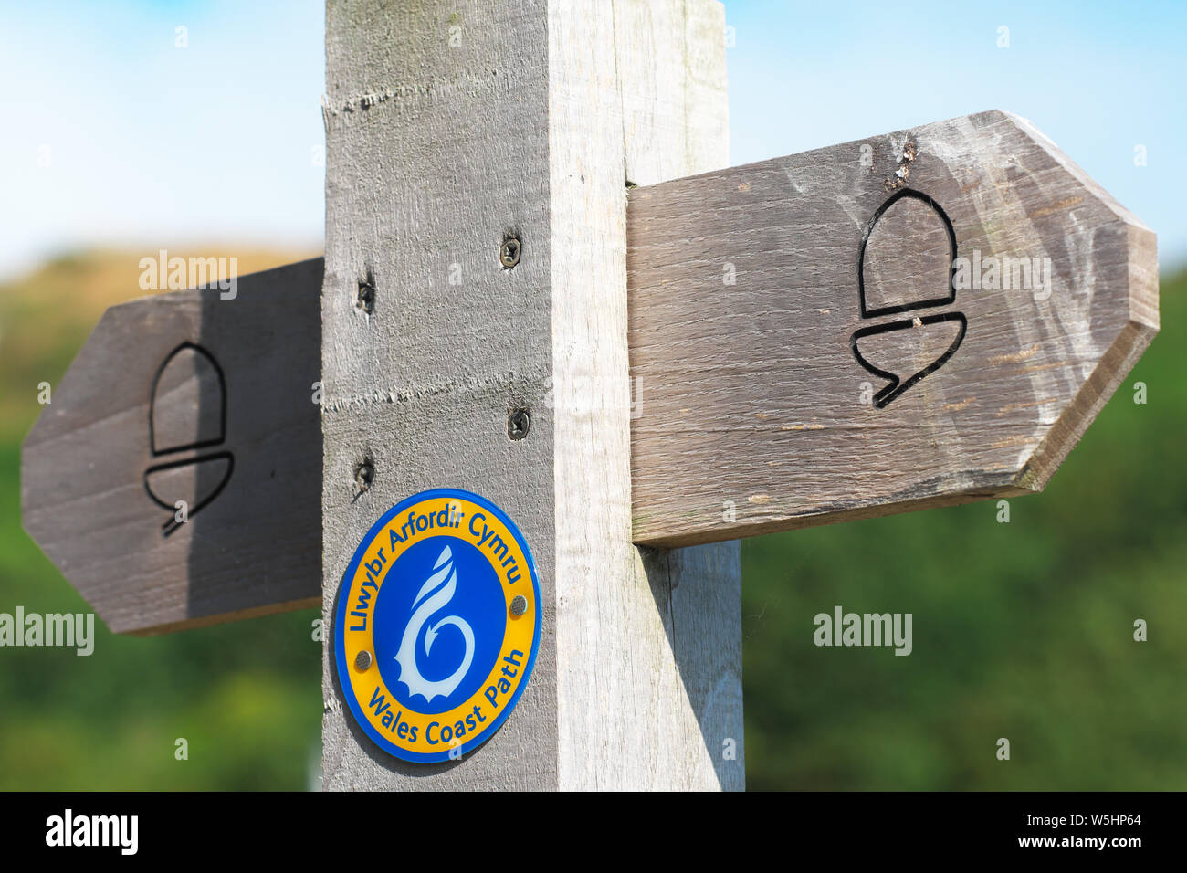 Signpost for the Pembrokeshire Coast Path ( Acorn ) part of the longer ...