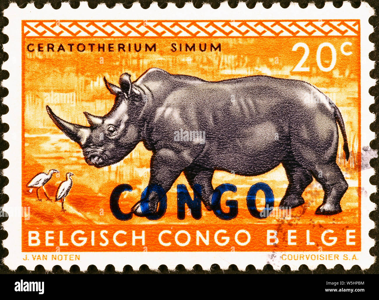 Black Rhinp on old postage stamp of Belgian Congo Stock Photo - Alamy