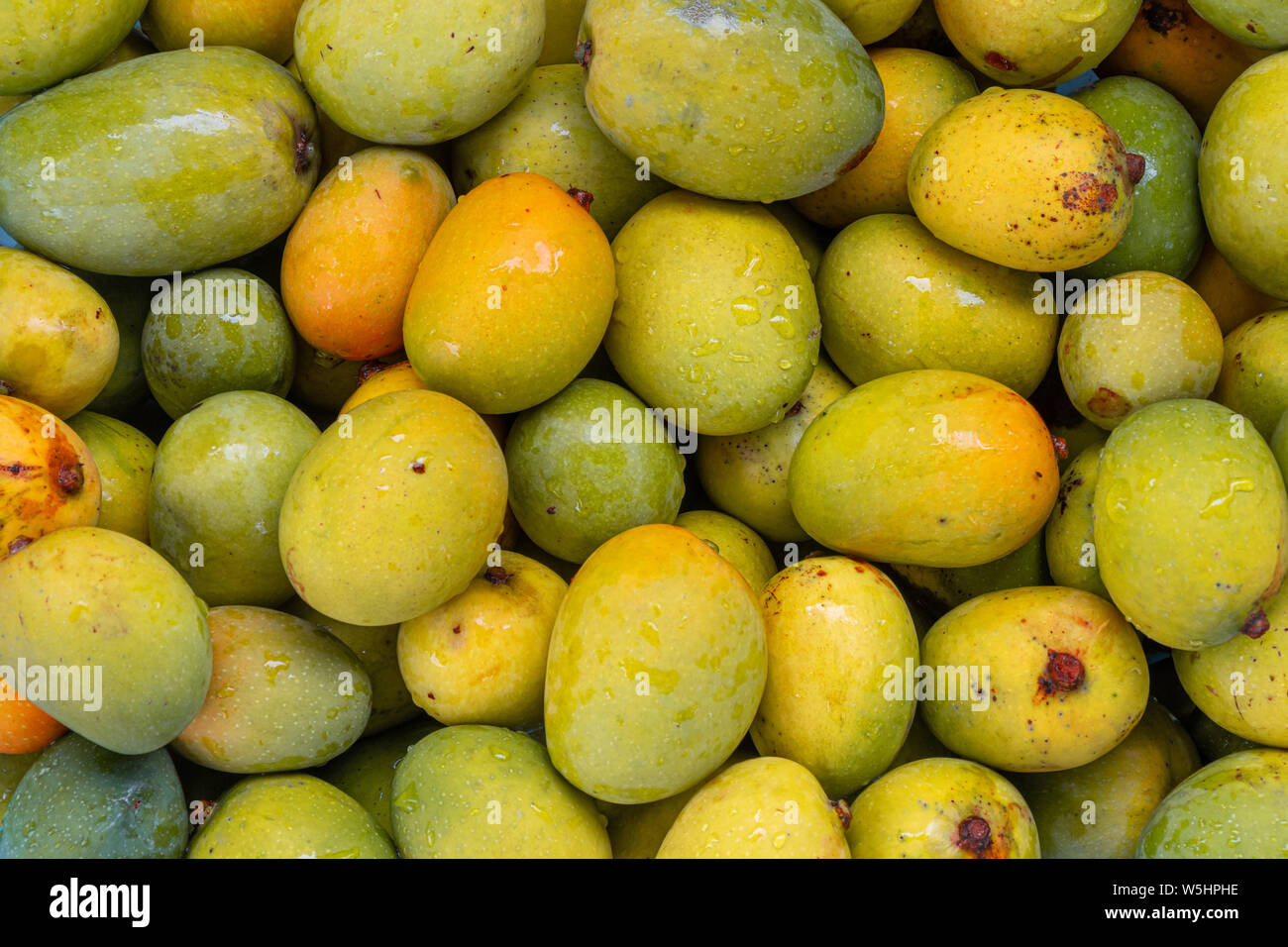 Aam hi-res stock photography and images - Alamy
