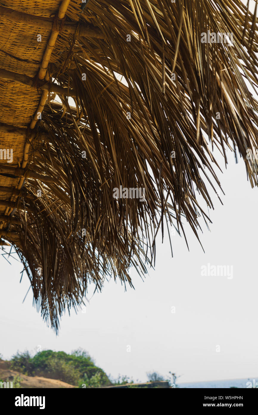 Coconut Tree Leaves Roof