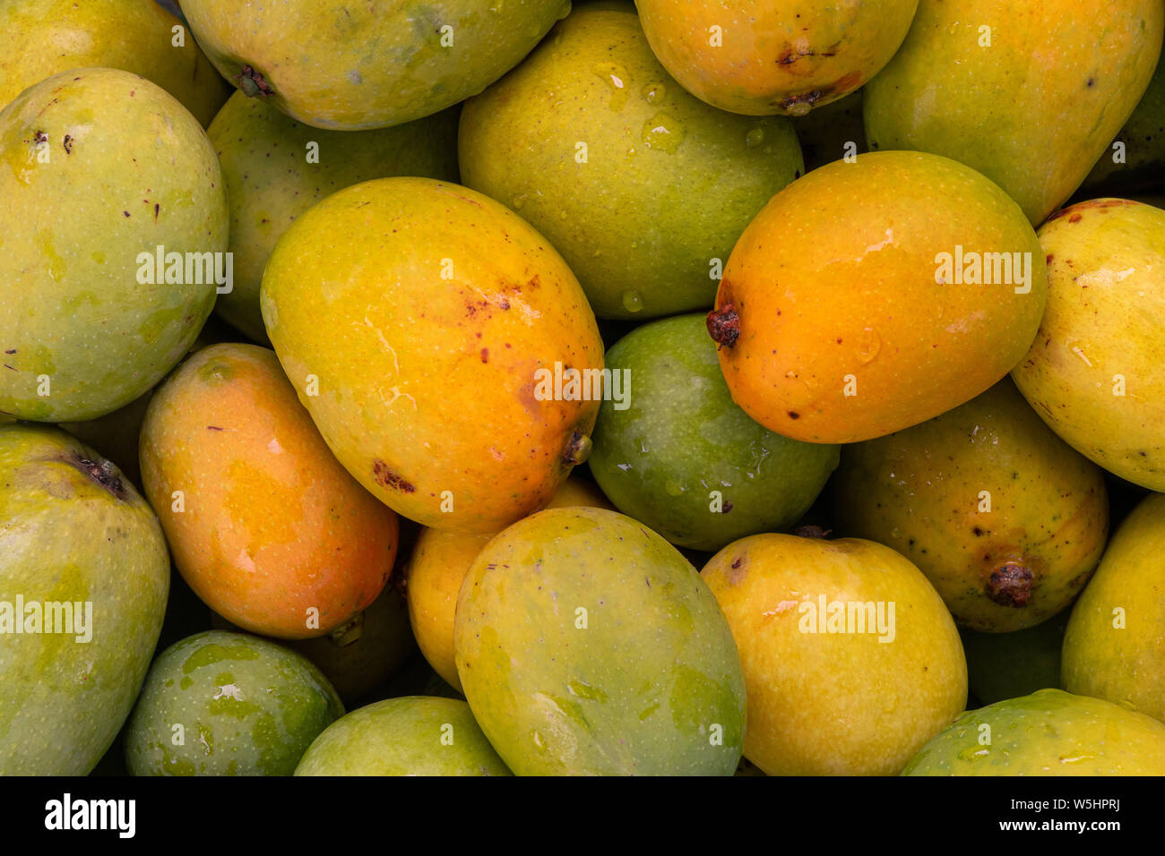 Delicious fruit mango hi-res stock photography and images - Alamy