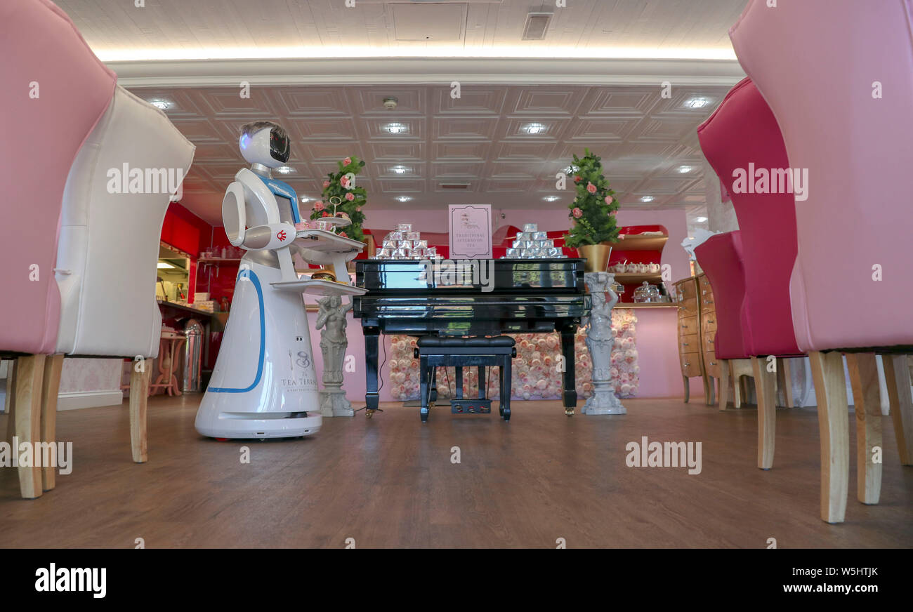 Theresa the robotic waitress at The Tea Terrace's Cobham branch in ...