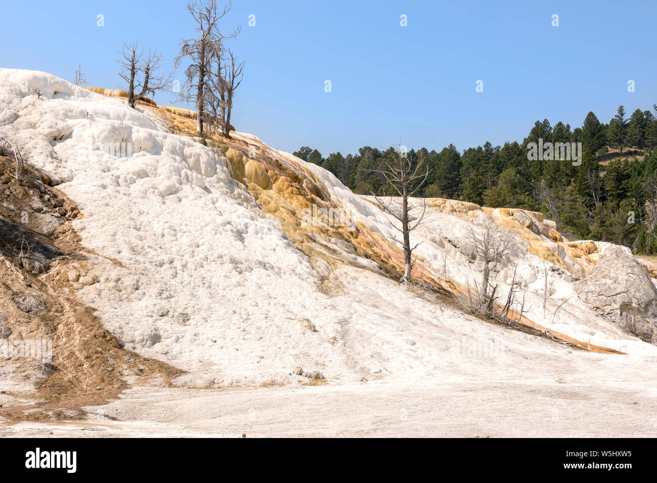 thermal springs and limestone formations at mammoth hot springs in ...