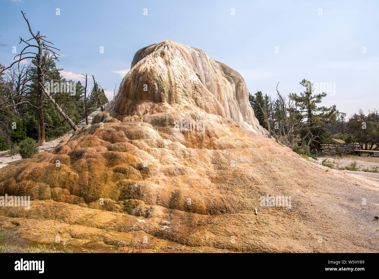 thermal springs and limestone formations at mammoth hot springs in ...