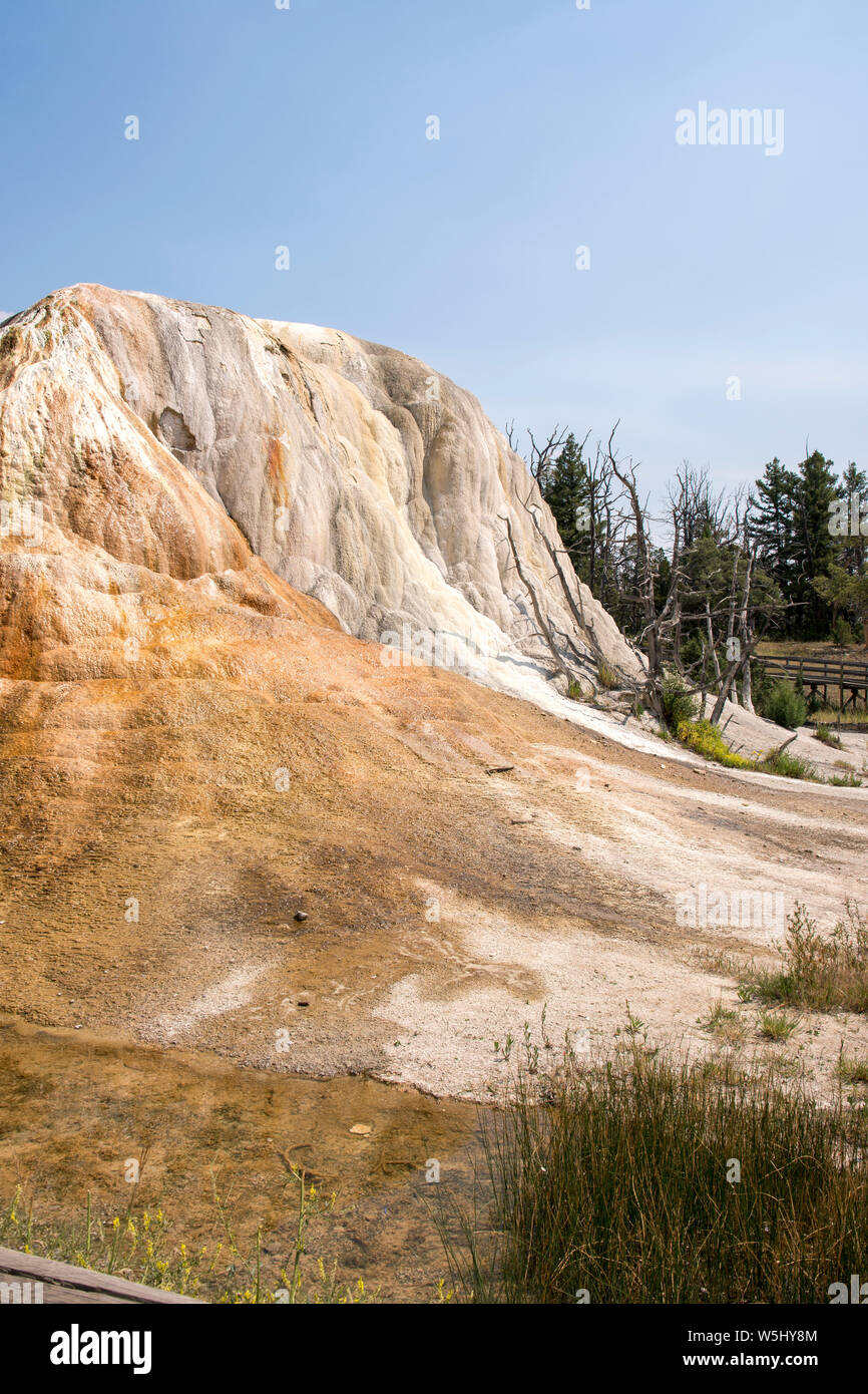 thermal springs and limestone formations at mammoth hot springs in ...