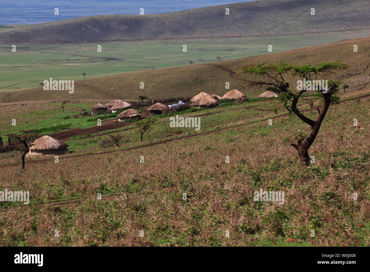 Village of Masai in Tanzania, Africa Stock Photo - Alamy