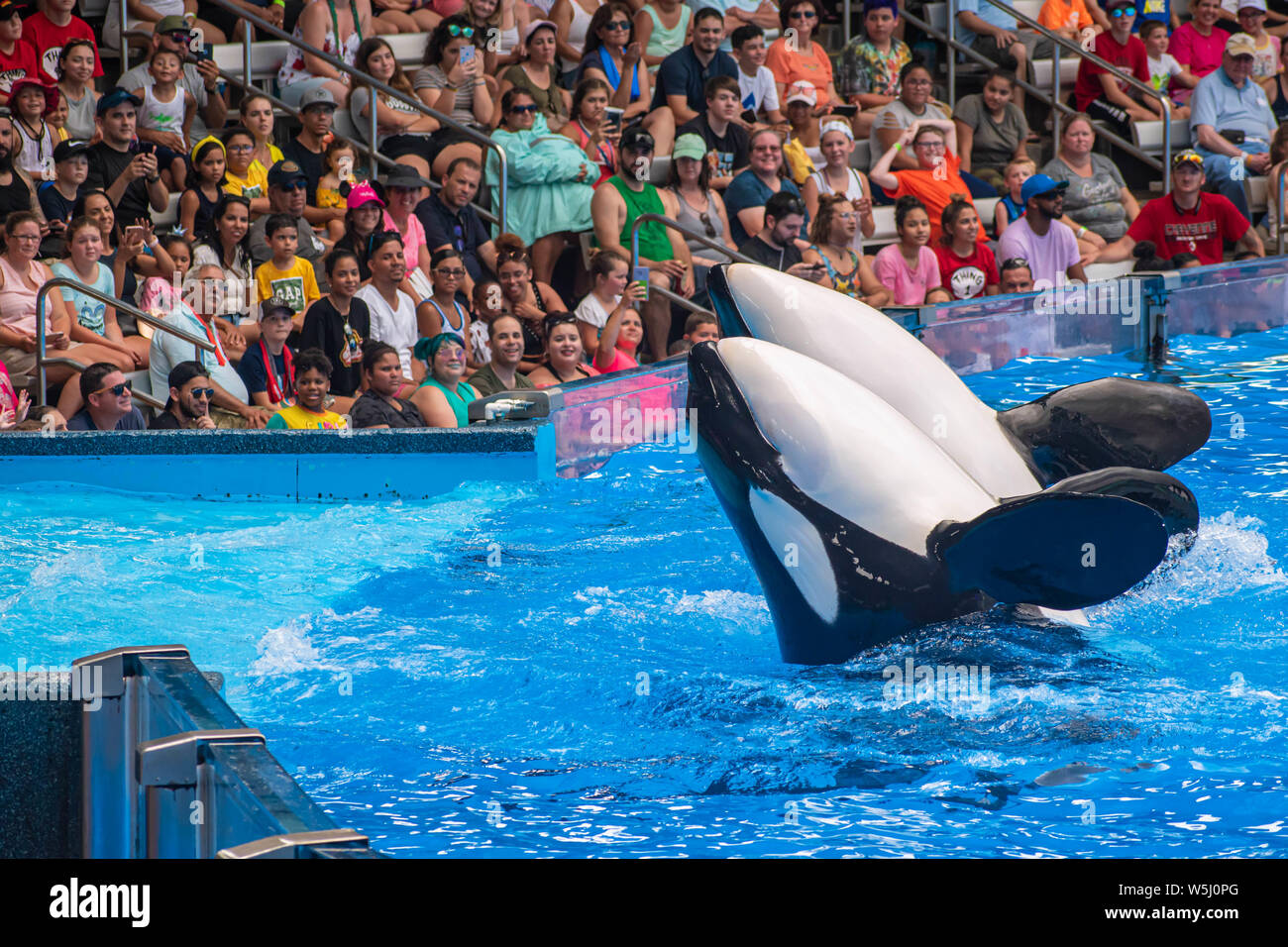 Orlando, Florida. July 18, 2019. People having fun majestic killer ...
