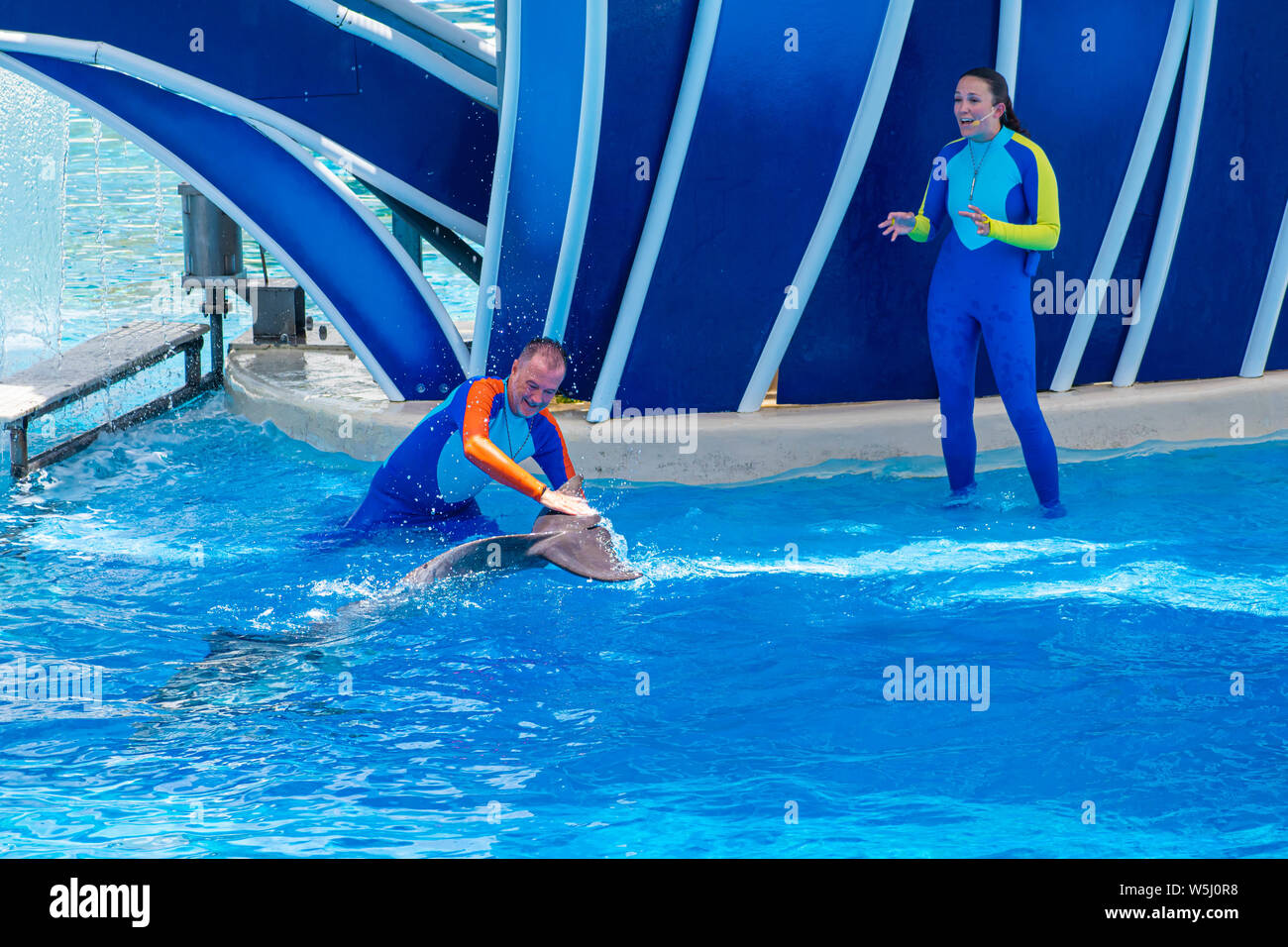 Orlando, Florida. July 18, 2019. Dolphin and trainers in Dolphin Days ...