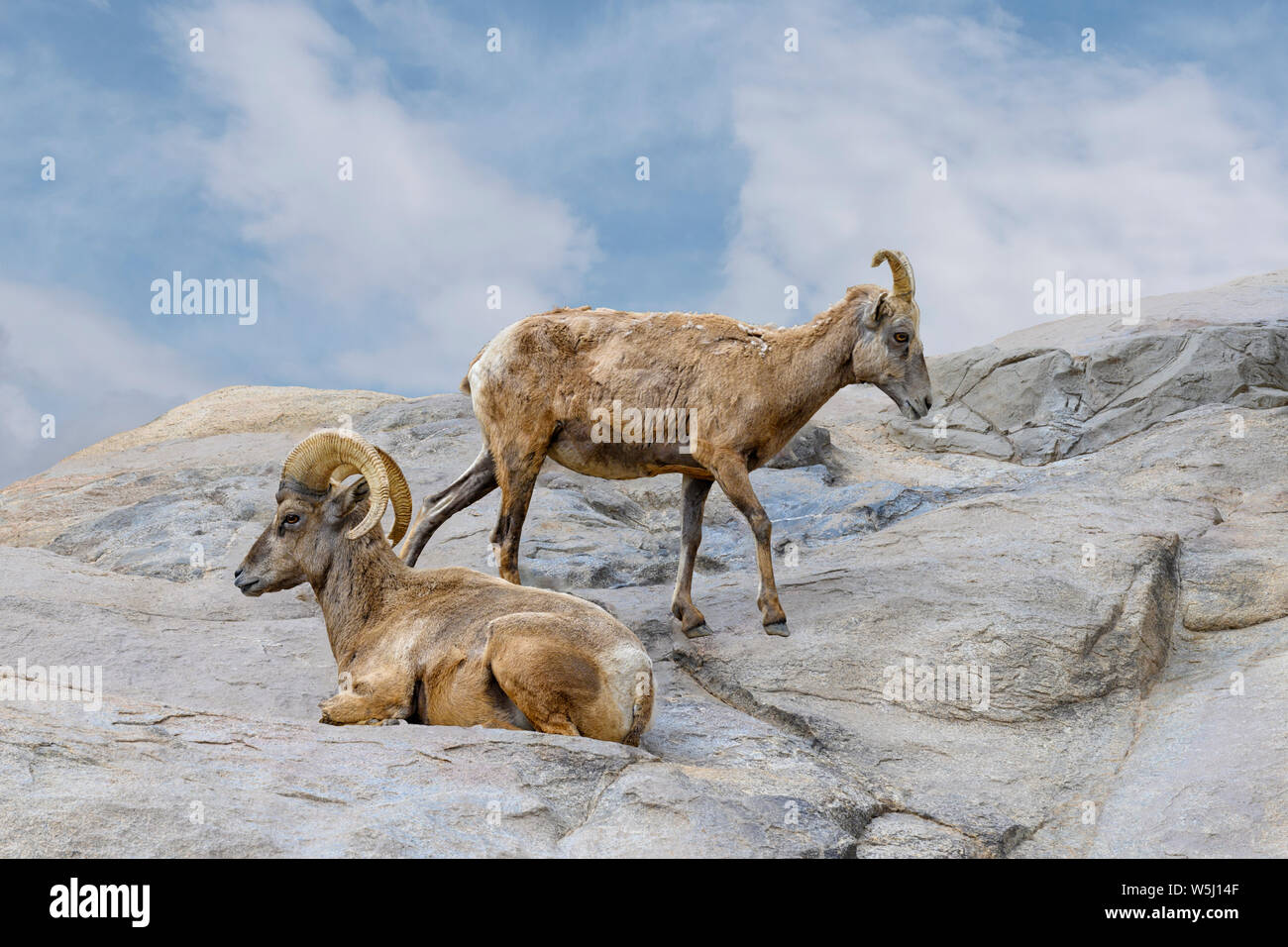 Mexido hi-res stock photography and images - Alamy