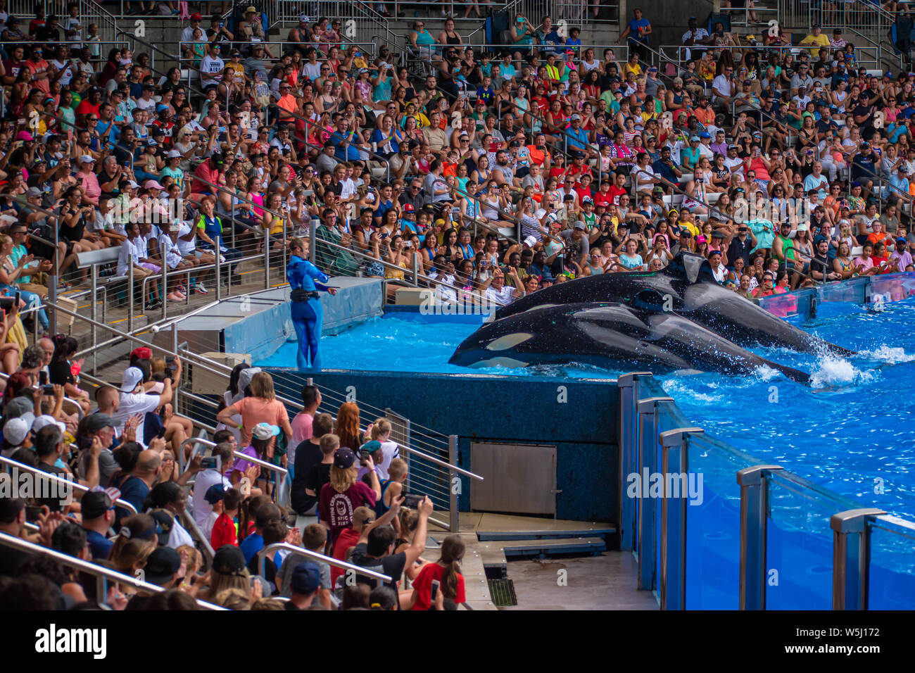 Whales show seaworld people hi-res stock photography and images - Alamy